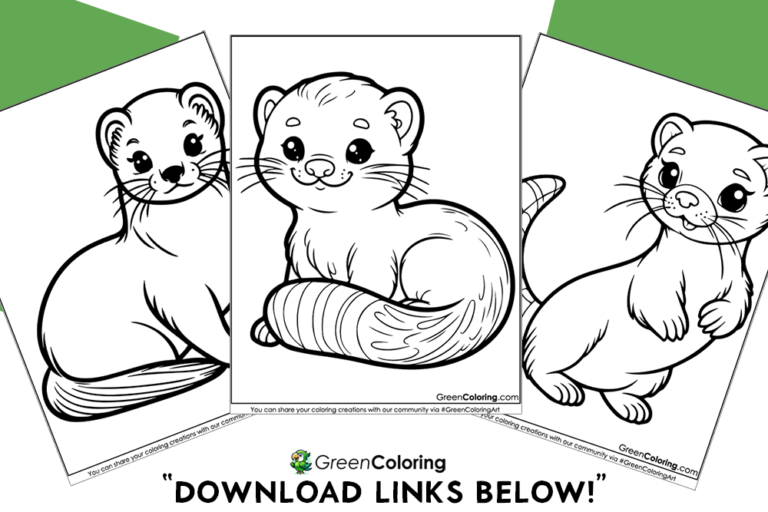 28 Ferret Coloring Pages (Download Free Printable PDF)